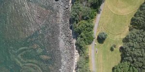 Mihimihi and Pepeha templates – ANZAAE