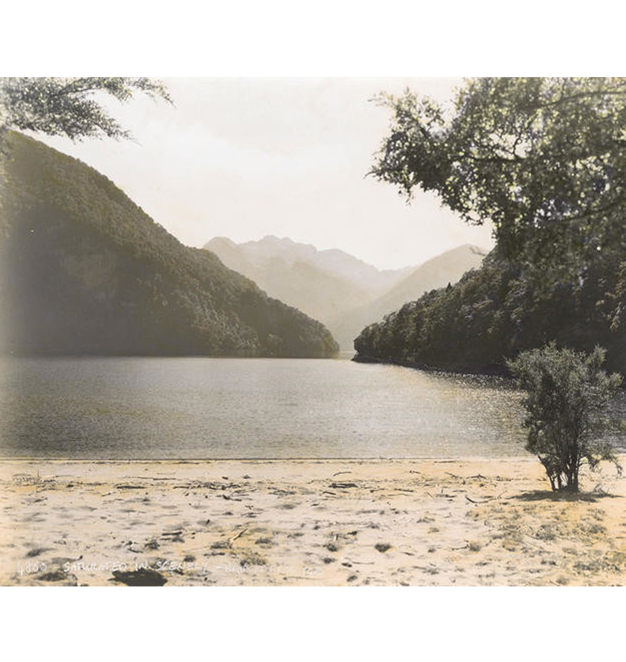 Aotearoa Artists N – S – ANZAAE