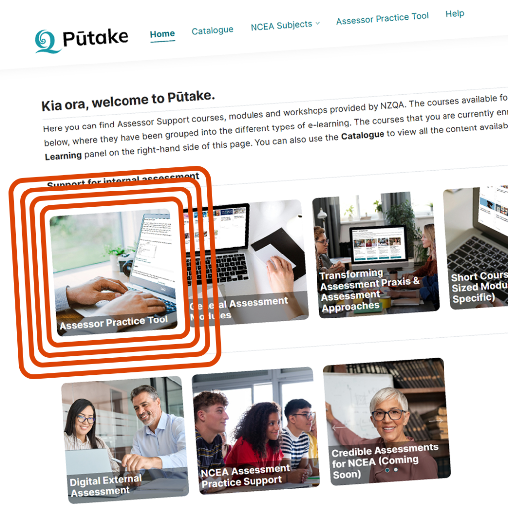 Assessment – ANZAAE